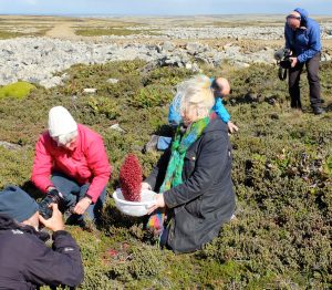 BBC’s Island Parish – Falkland Islands | Bluff Cove Lagoon
