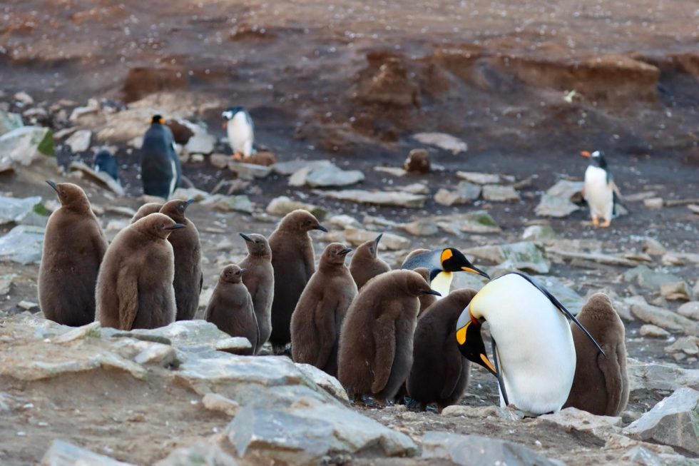 Tour | Bluff Cove Lagoon